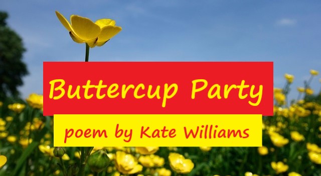 Buttercup poem – Kate Williams